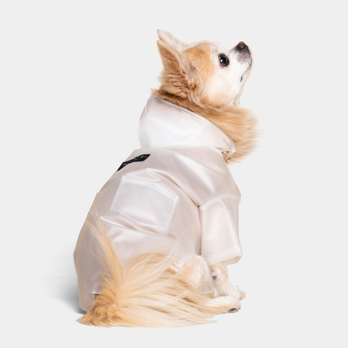 Perini Luxury Dog Raincoat White | Meomari - Luxury Dog Boutique