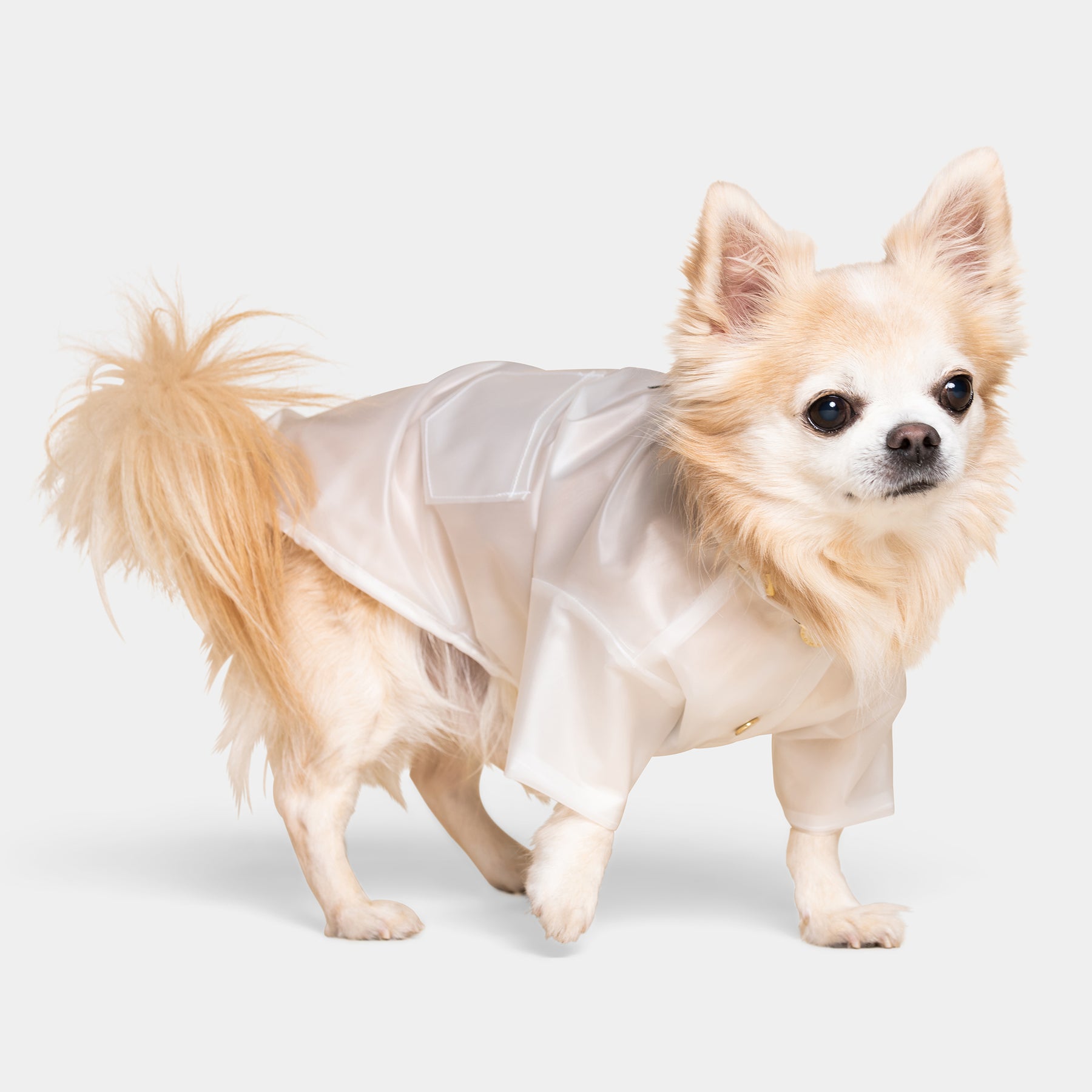 Perini Luxury Dog Raincoat White | Meomari - Luxury Dog Boutique