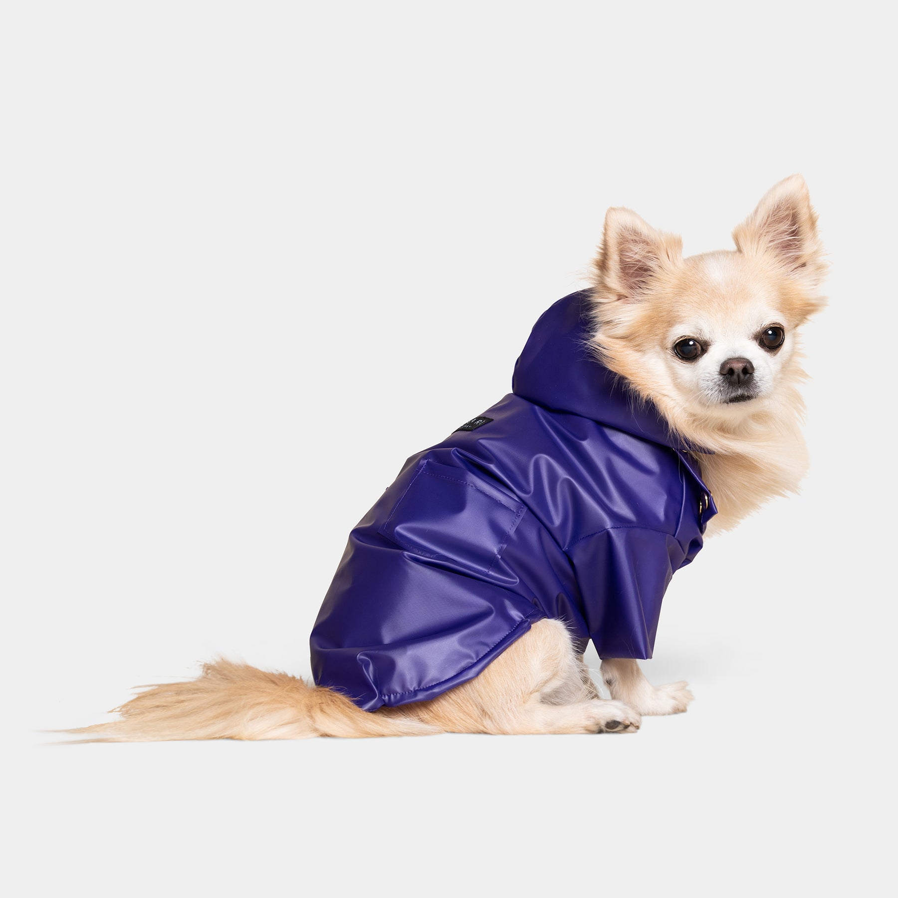 Perini Luxury Dog Raincoat Purple | Meomari - Luxury Dog Boutique