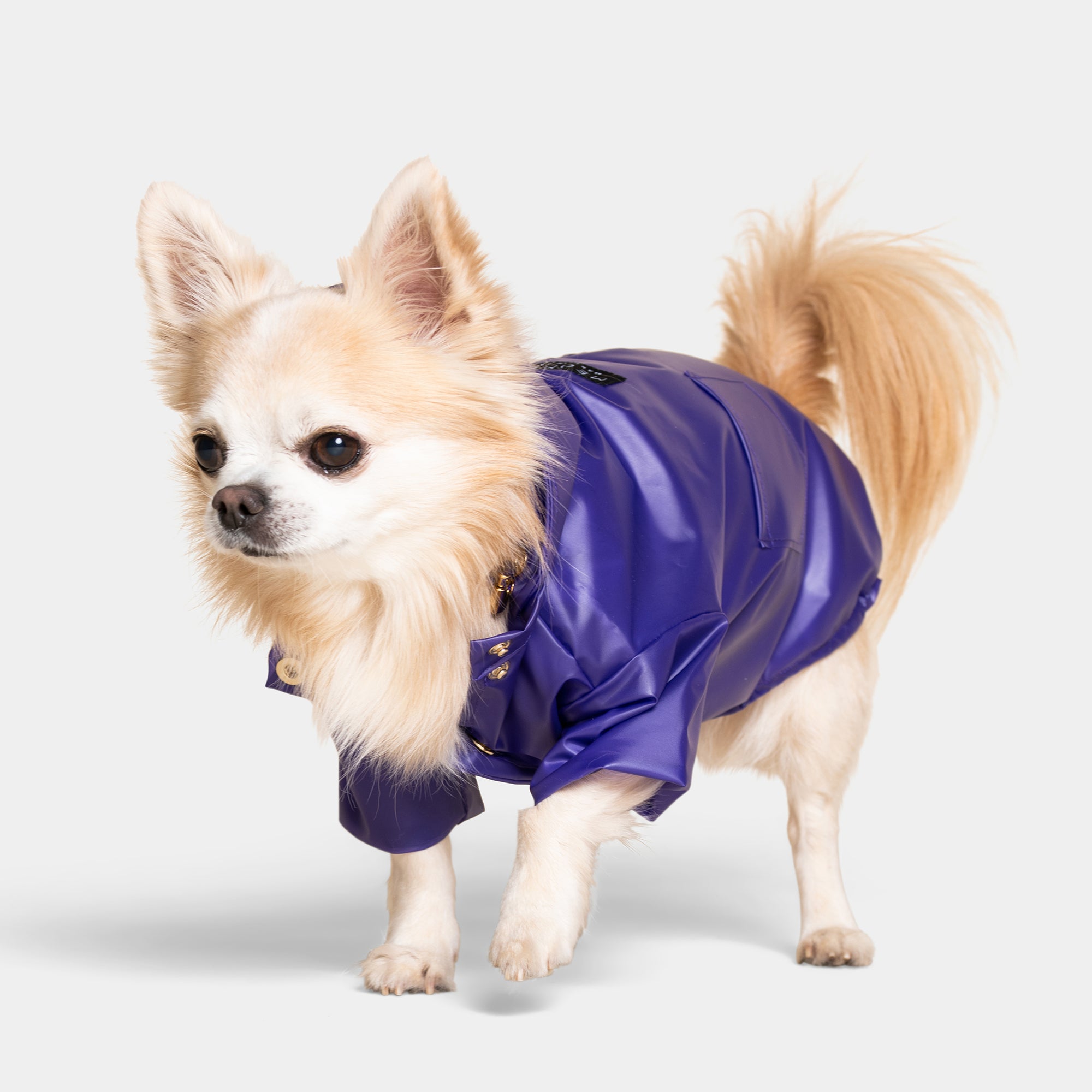 Perini Luxury Dog Raincoat Purple | Meomari - Luxury Dog Boutique