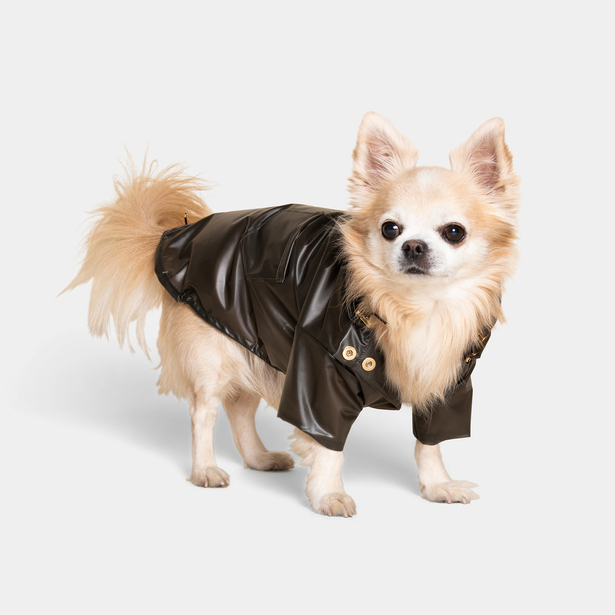 Perini Dog Raincoat Grey | Meomari - Luxury Dog Accessories Boutique